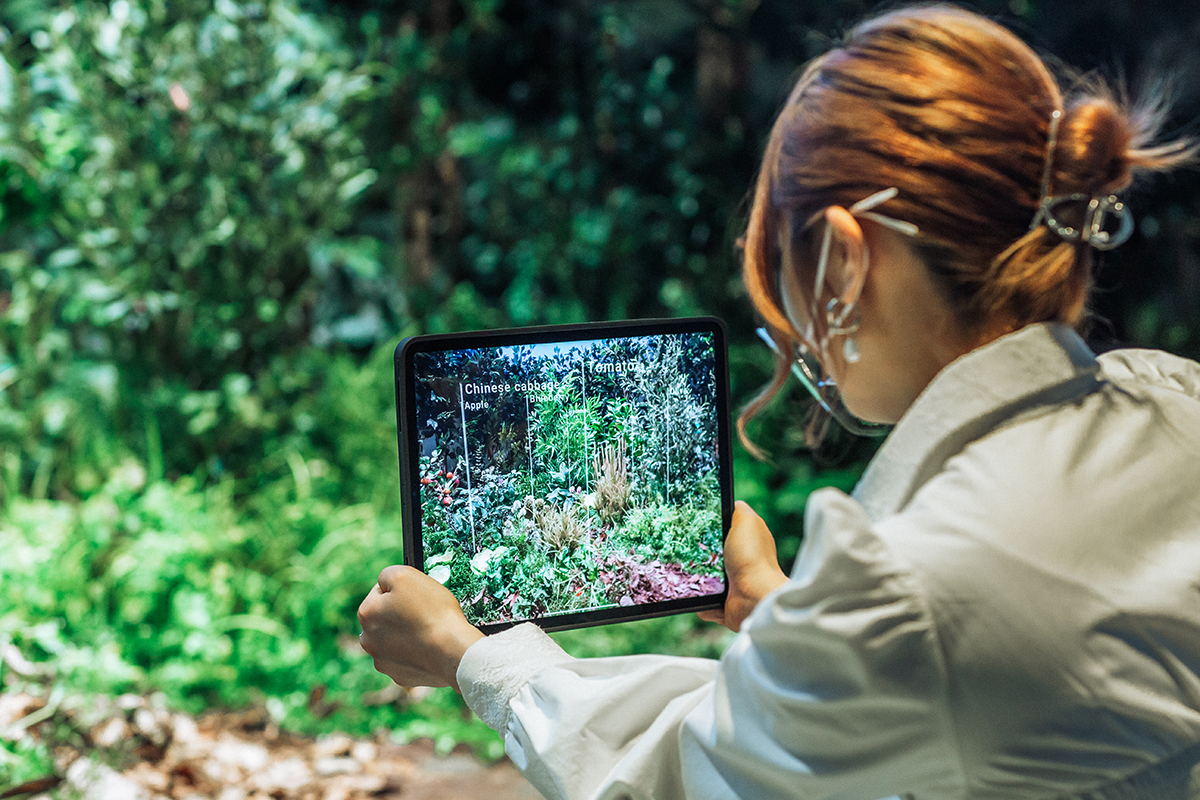 Human Augmentation of Ecosystems | UniTwin UNESCO Complex Systems ...