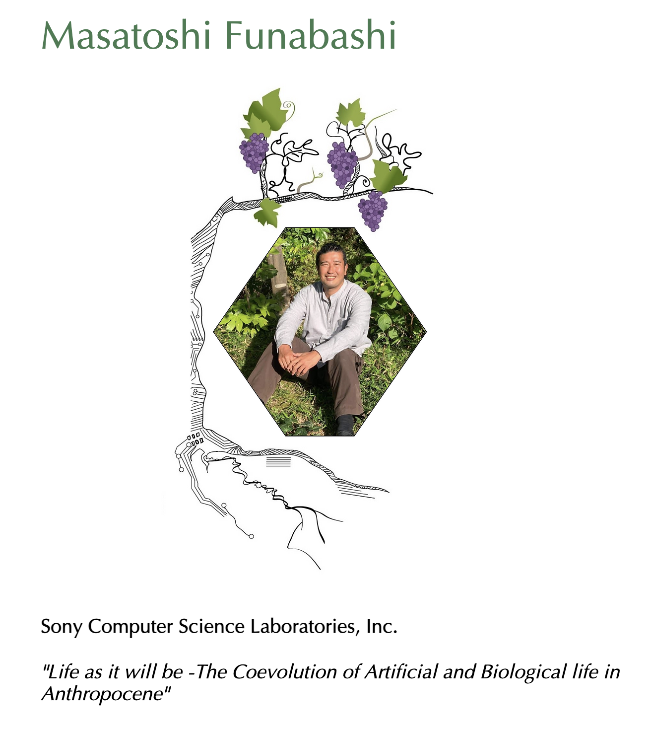 Human Augmentation of Ecosystems | UniTwin UNESCO Complex Systems ...